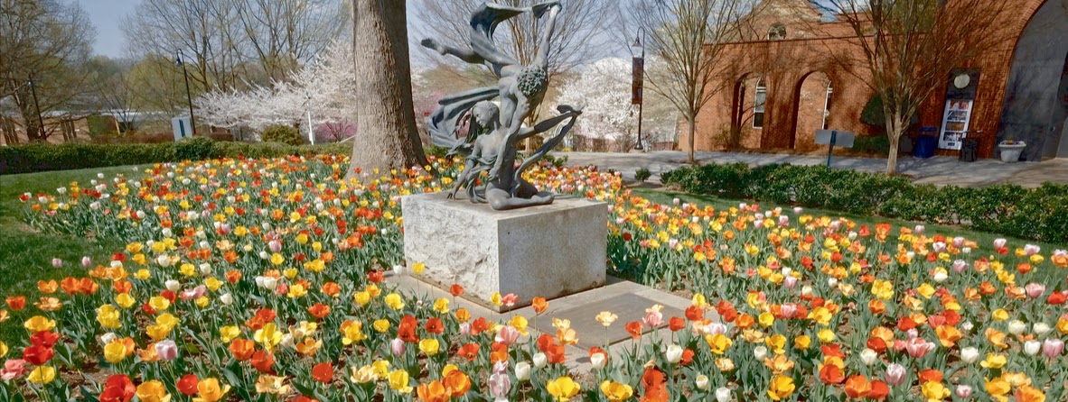 University of North Carolina School of the Arts - Preview Days